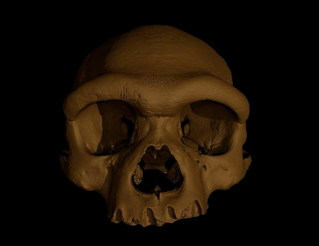 Why the new 'Dragon Man' skull is so exciting | Popular Science