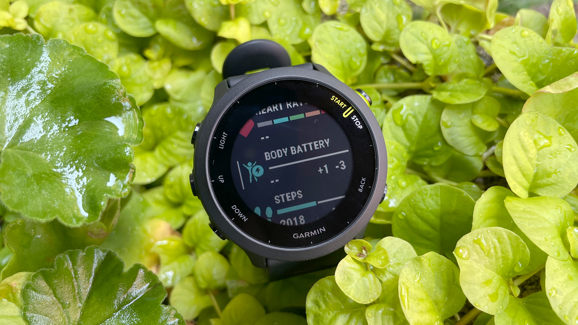 Garmin Forerunner 55 review: Just the essentials | Popular Science