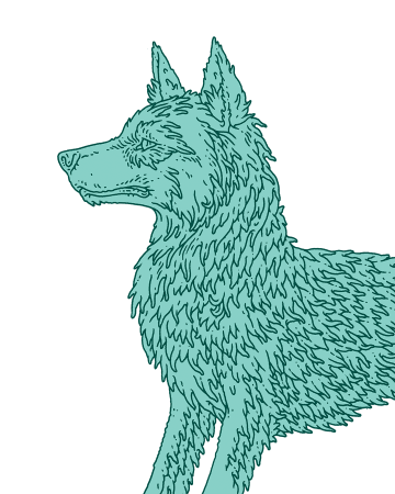 These animals have thrived in Chernobyl | Popular Science