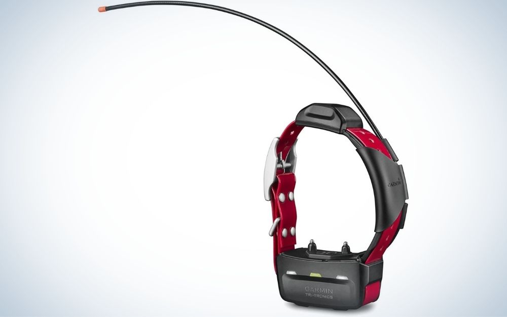 The best pet GPS trackers | Popular Science