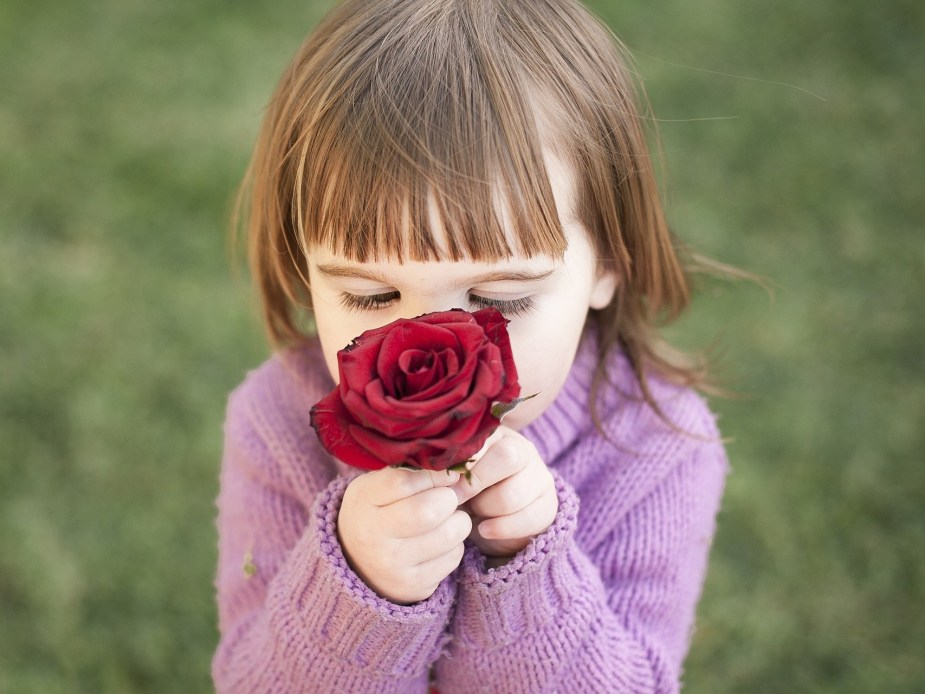 Why do we suddenly remember smells from childhood? | Popular Science