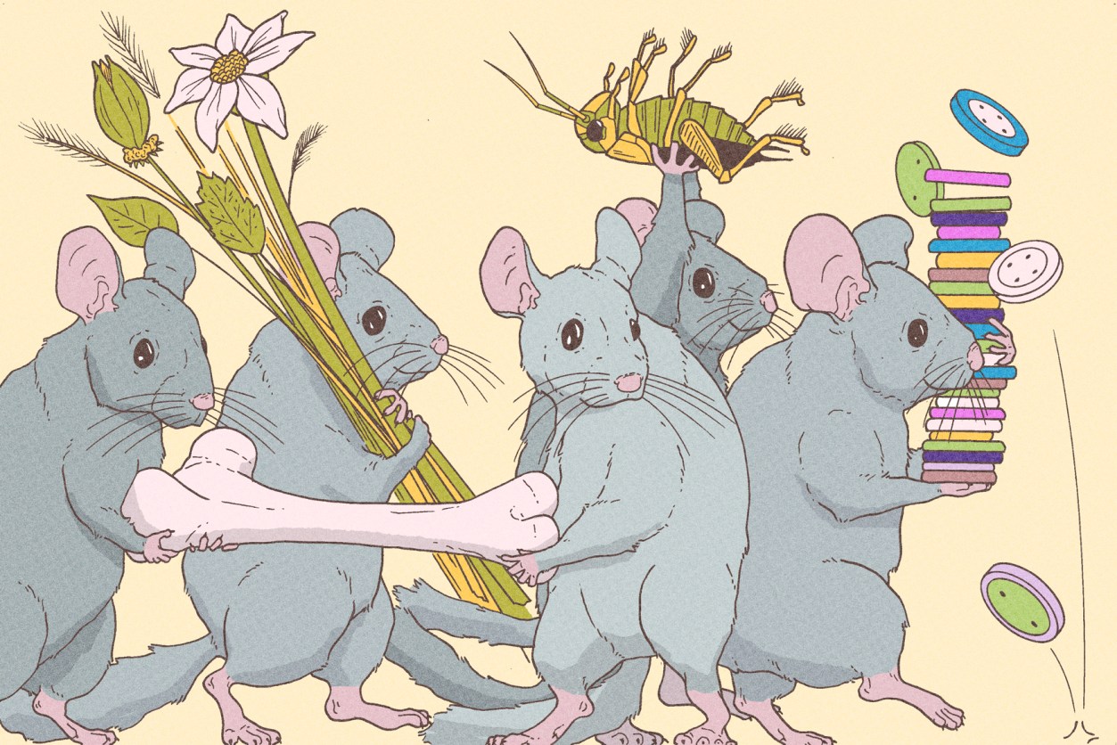 Animals have mysterious ways of finding their way back home