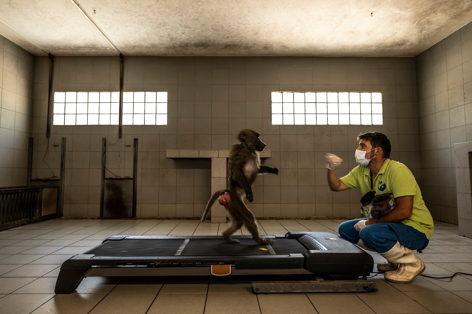Animal photos that show the power of evolution | Popular Science