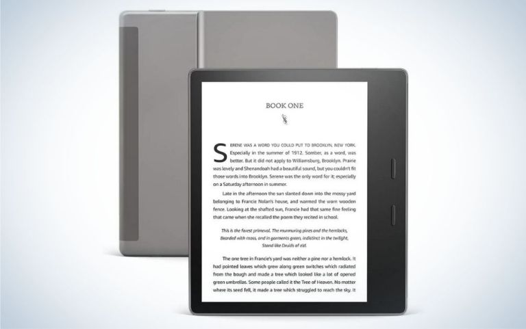 The best eReaders for 2024, tested and reviewed | Popular Science