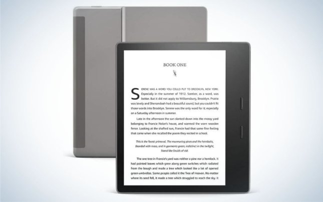 The best eReaders for 2024, tested and reviewed | Popular Science