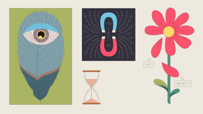 What causes human attraction? | Popular Science