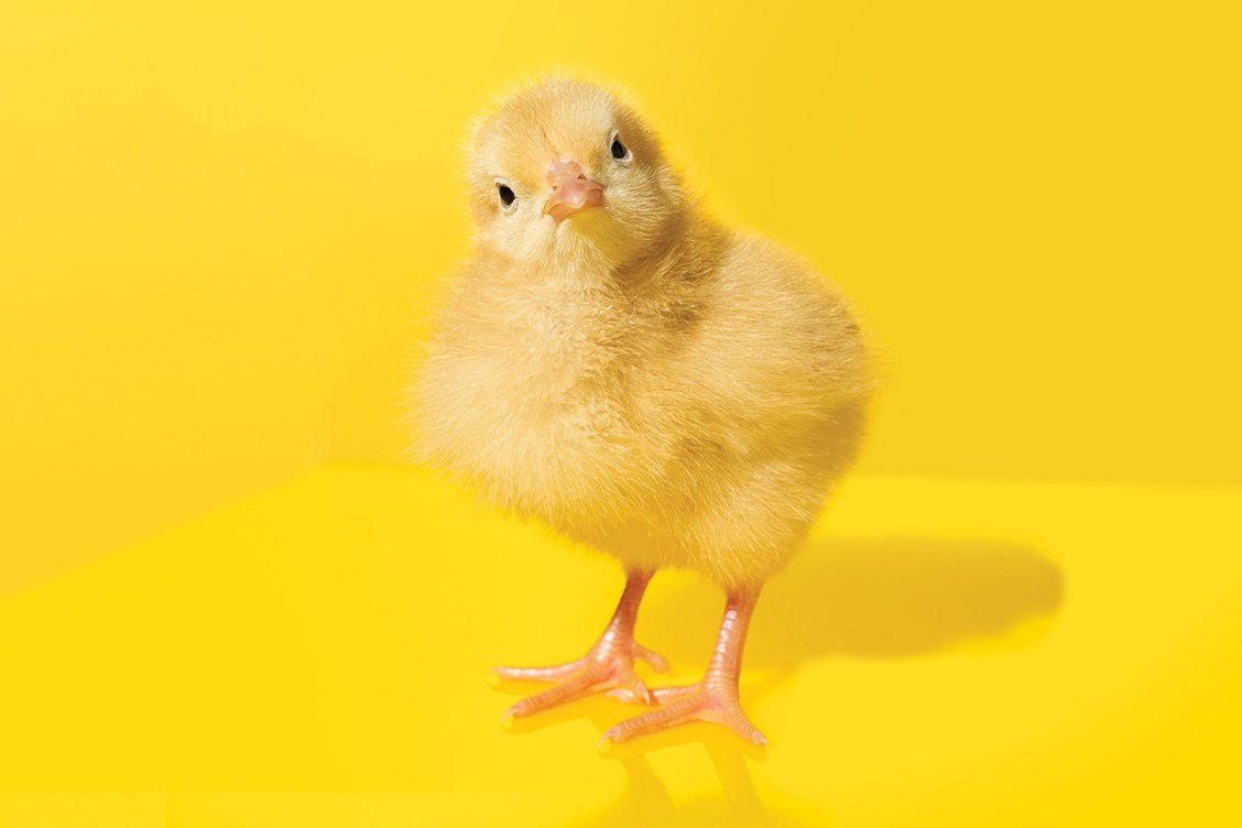 Read the fall 2021 issue of Popular Science | Popular Science