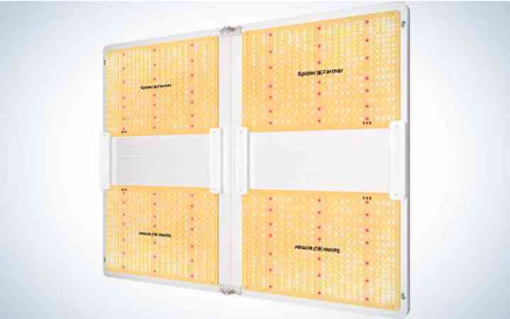 The best LED grow lights for 2024 | Popular Science
