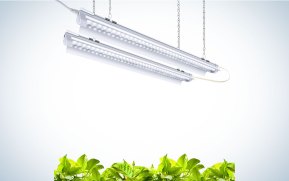The best LED grow lights for 2024 | Popular Science