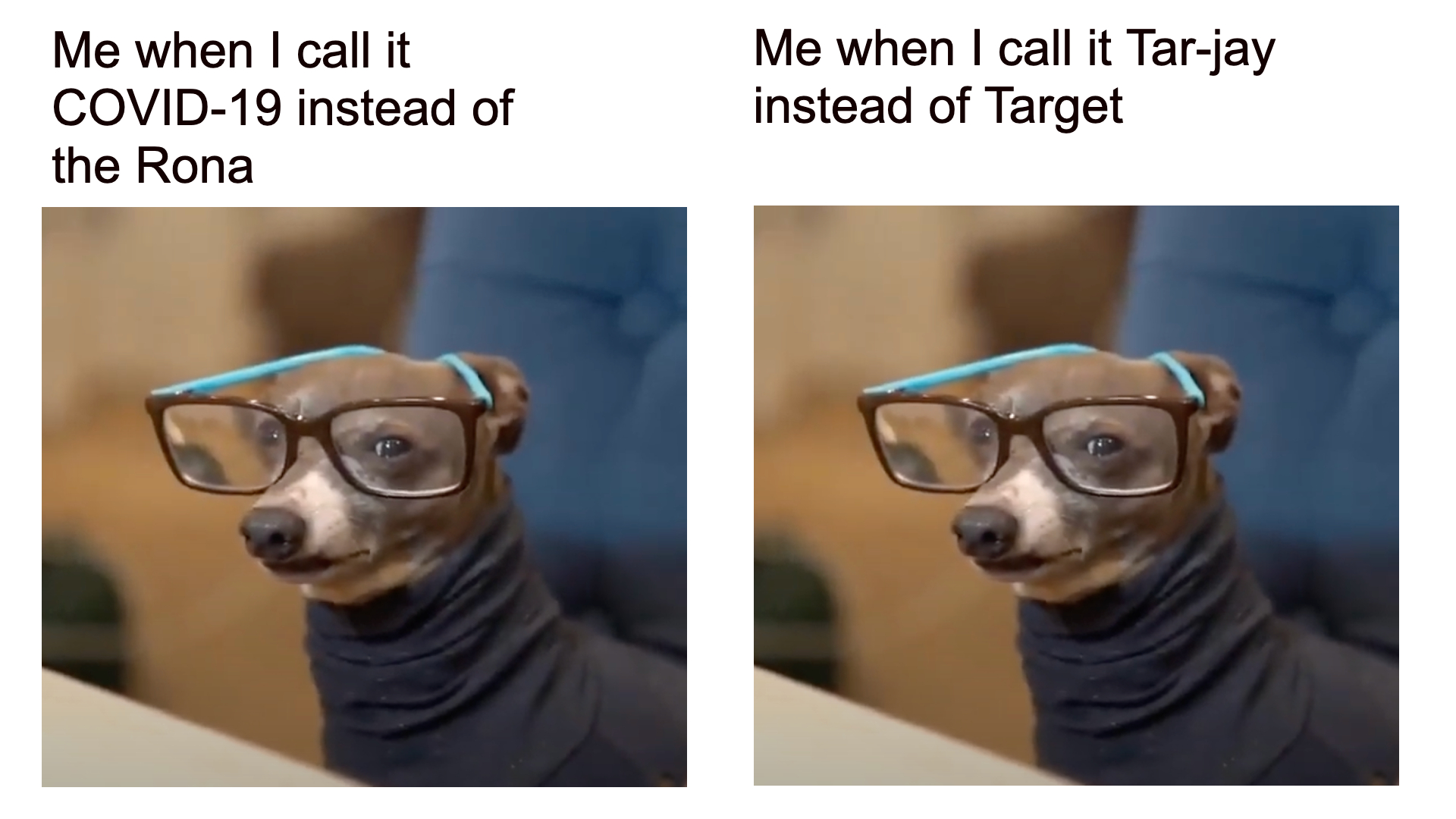 How memes are helping us get through the pandemic | Popular Science