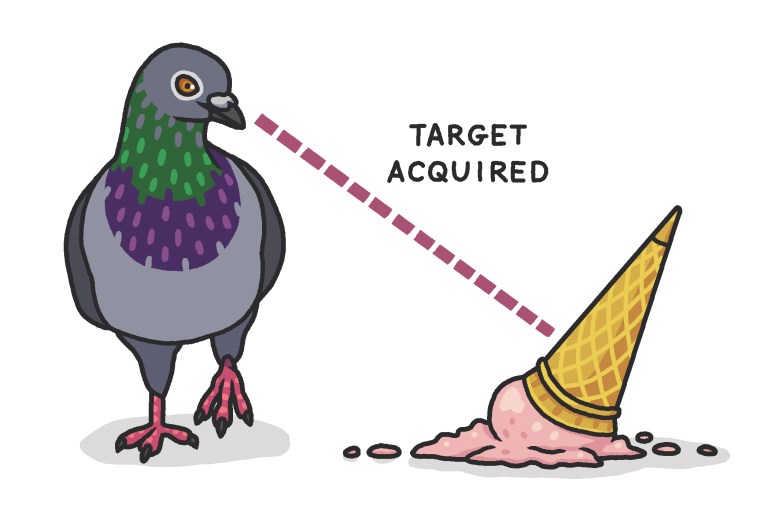 Common pigeon sounds and what they mean | Popular Science