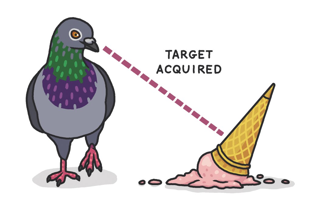 Common pigeon sounds and what they mean | Popular Science