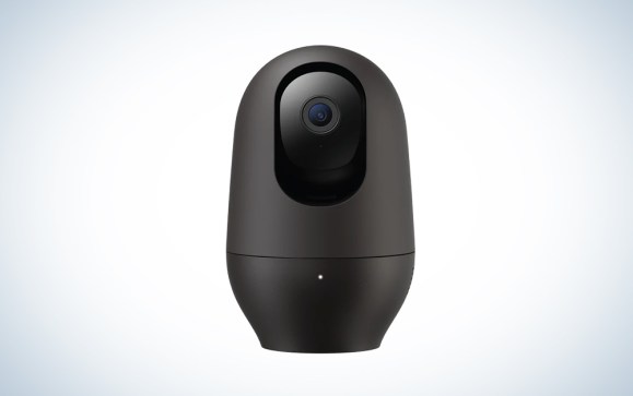 The best dog cameras of 2024 | Popular Science