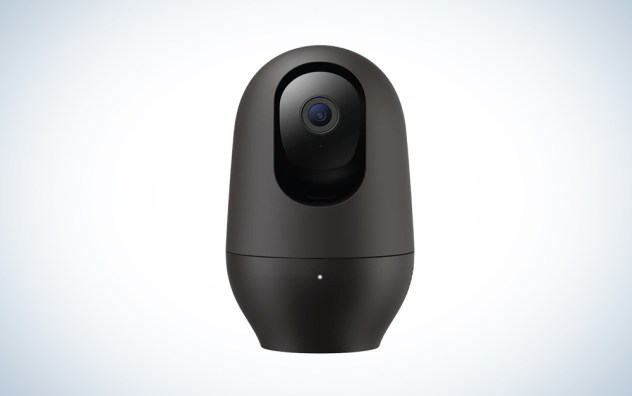The best dog cameras of 2024 | Popular Science