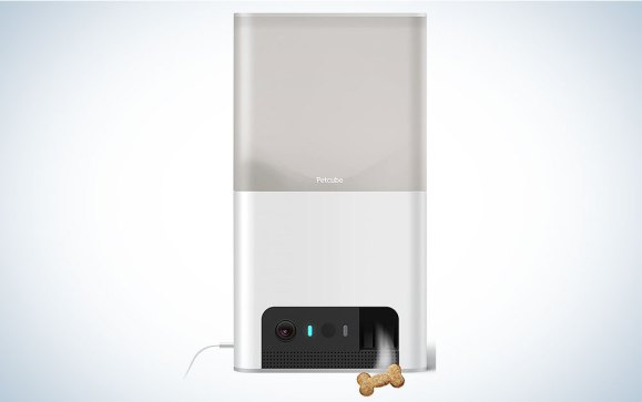 The best dog cameras of 2024 | Popular Science