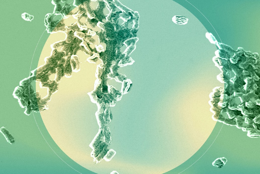 The difference between germ theory and terrain theory | Popular Science