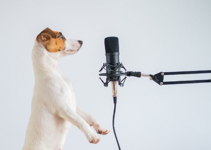 16 of the best science podcast episodes this year | Popular Science