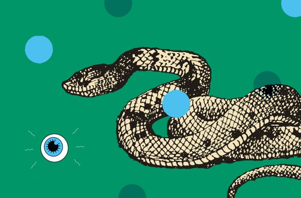 Learn about all the places with no snakes | Popular Science