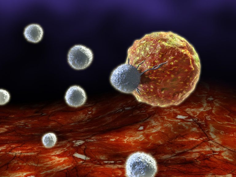 Running ‘Doom’ on E. coli cells… very, very slowly | Popular Science