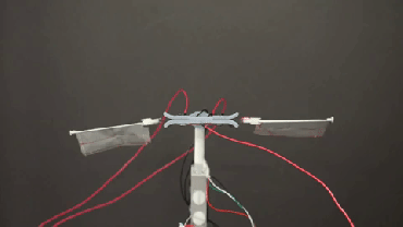 Watch these disembodied robot wings fly | Popular Science