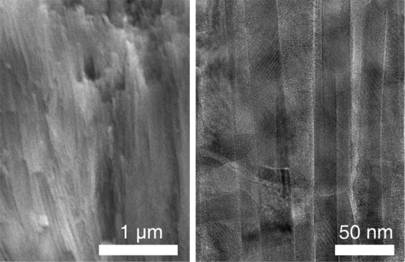 Why artificial tooth enamel is so hard to make | Popular Science