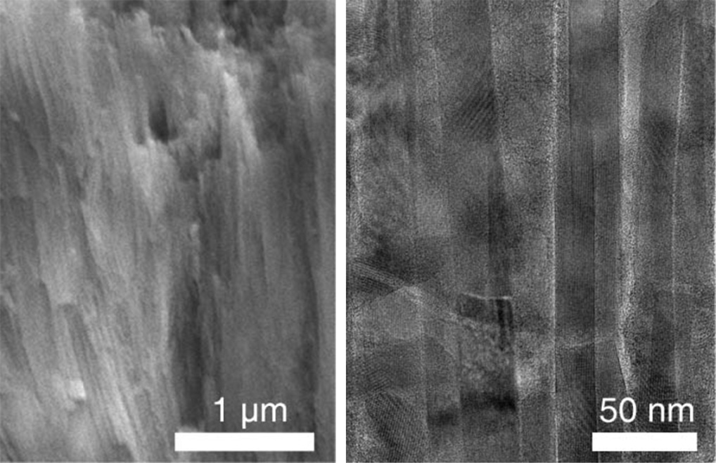 Why artificial tooth enamel is so hard to make | Popular Science