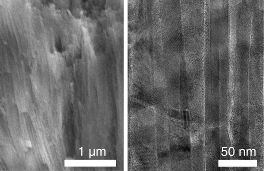 Why artificial tooth enamel is so hard to make | Popular Science