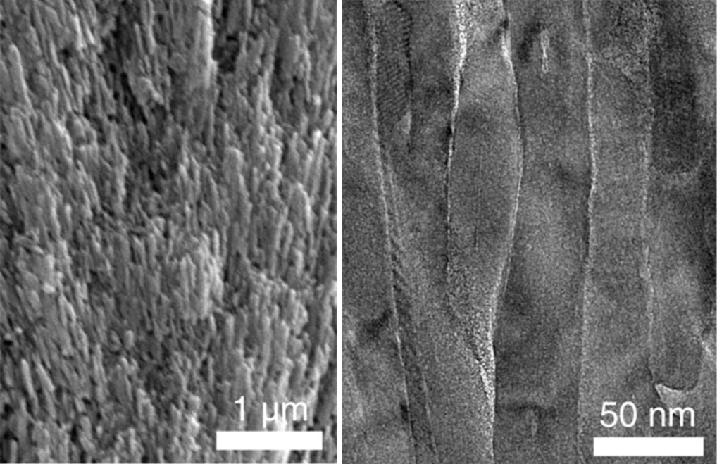 Why artificial tooth enamel is so hard to make | Popular Science