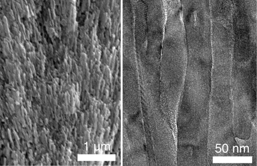 Why artificial tooth enamel is so hard to make | Popular Science