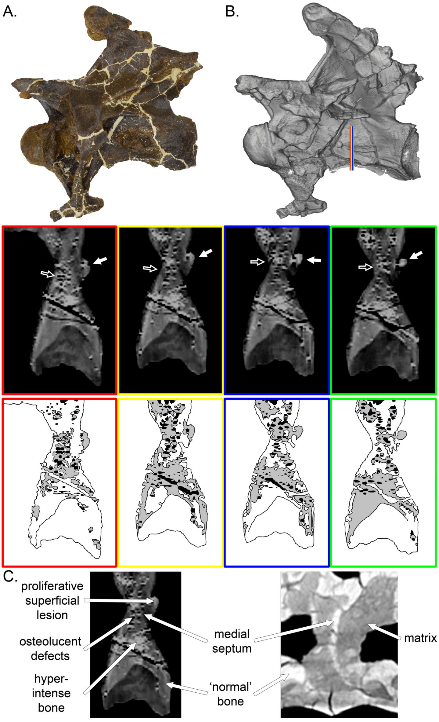 First case of respiratory infection in dinosaurs | Popular Science