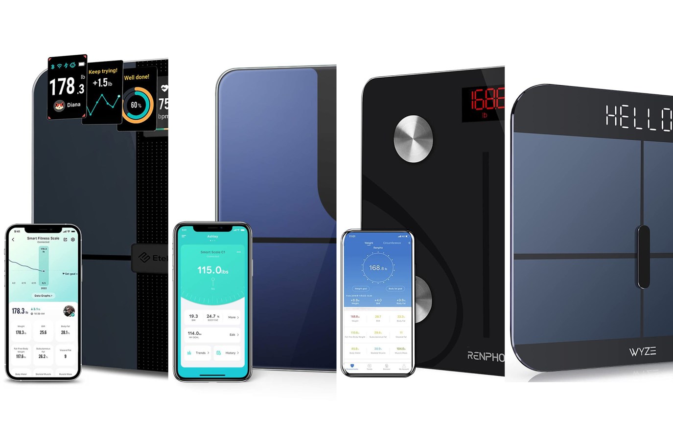The best smart scales of 2024 | Popular Science