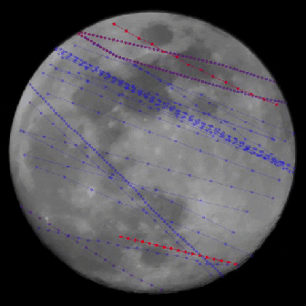 Using moon shadows to track the transit of birds | Popular Science