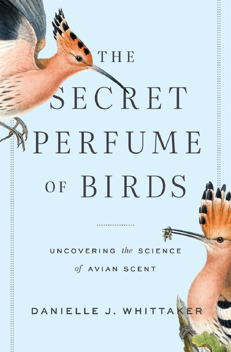 Do birds have a sense of smell? | Popular Science