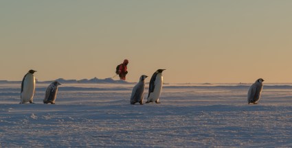 Meet the robot watching over Emperor penguins | Popular Science