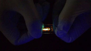 This stretchy film could be the future of LED displays | Popular Science