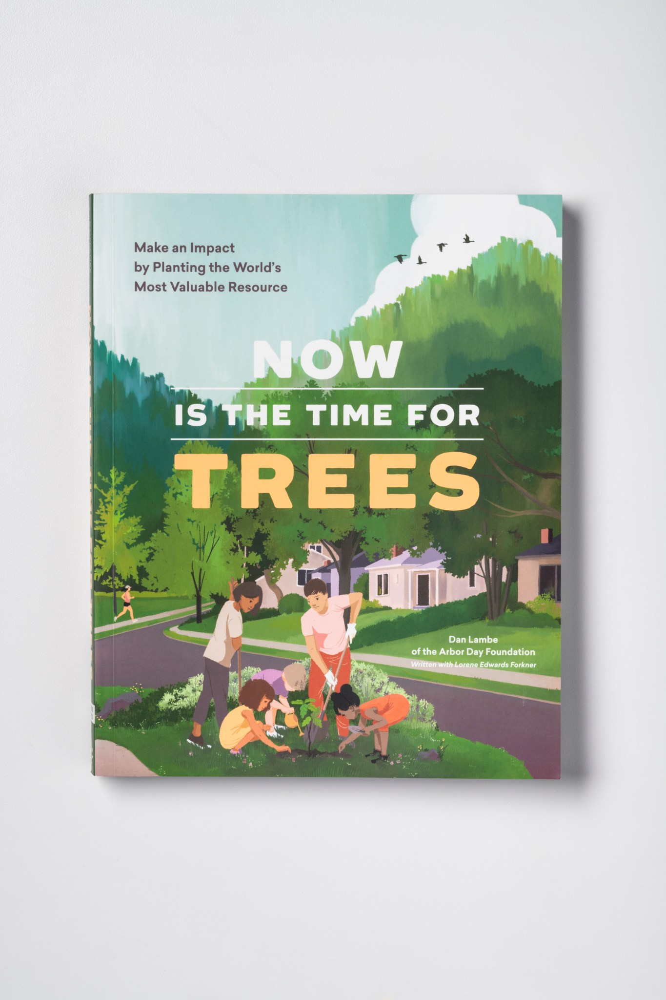 How to select, plant, and protect a new tree in your yard | Popular Science