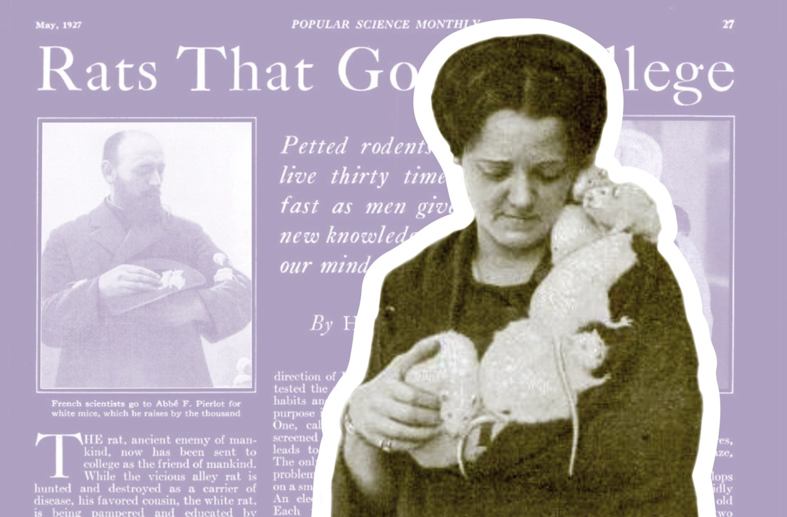 How science came to rely on lab rats | Popular Science