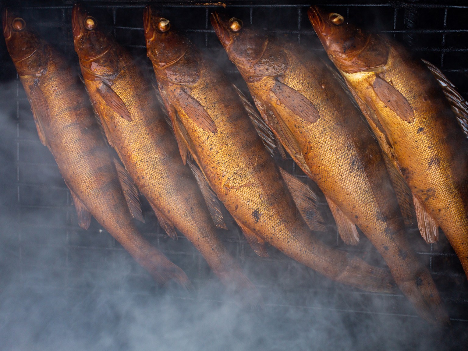 How to smoke fish | Popular Science