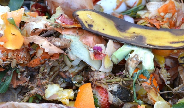How to remove fungus from your compost | Popular Science