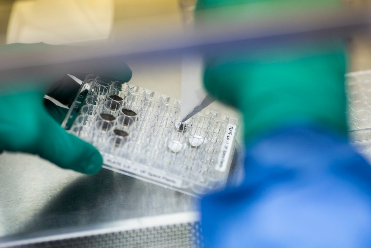 Plant grow in NASA's soil from the moon, but on Earth | Popular Science