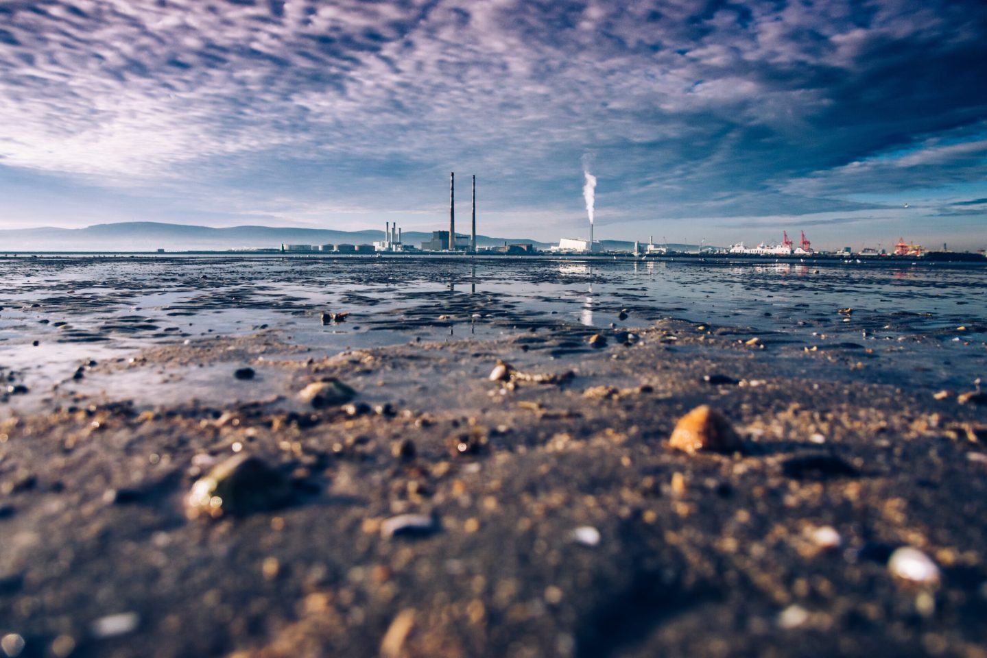 Pollution kills 1 in 6 people worldwide | Popular Science