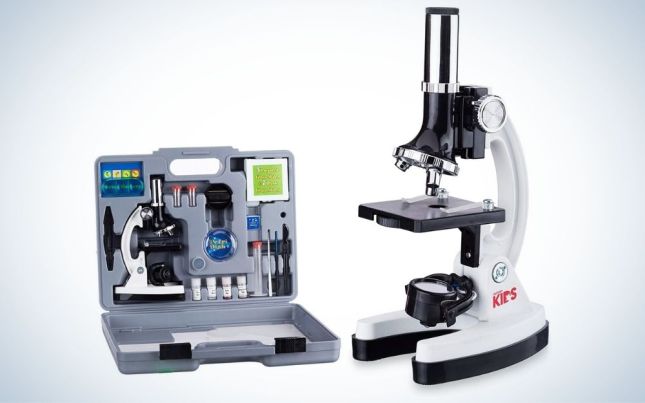 The best microscopes for kids in 2024 | Popular Science
