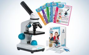 The best microscopes for kids in 2024 | Popular Science