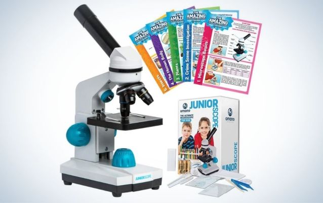 The best microscopes for kids in 2024 | Popular Science