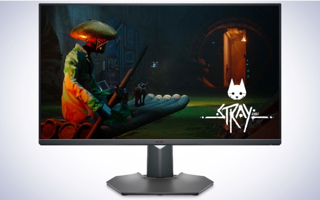 The best Dell monitors of 2024 | Popular Science