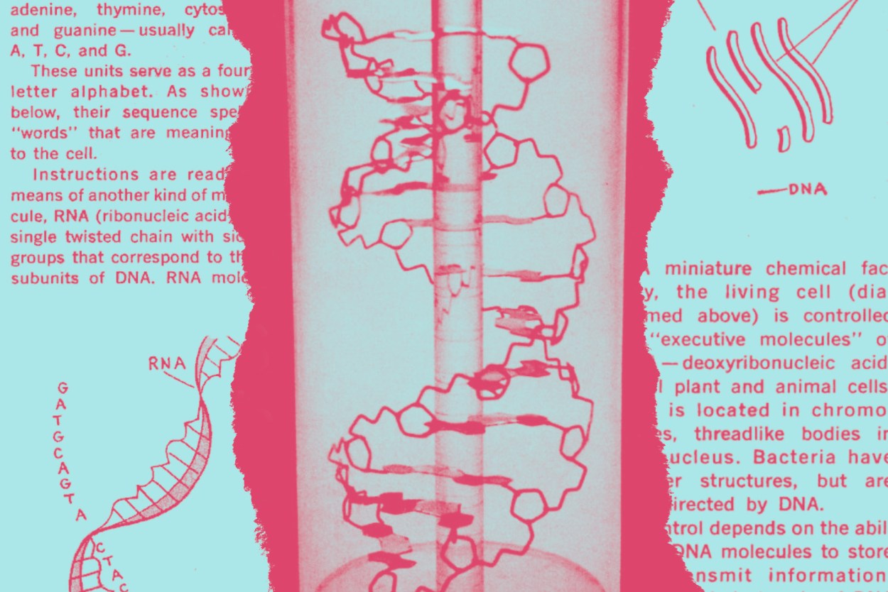 From the archives: How DNA's structure was discovered | Popular Science