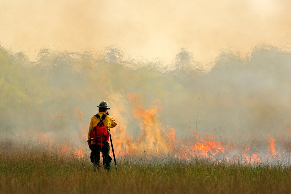 The West's network of wildfire cameras is expanding | Popular Science