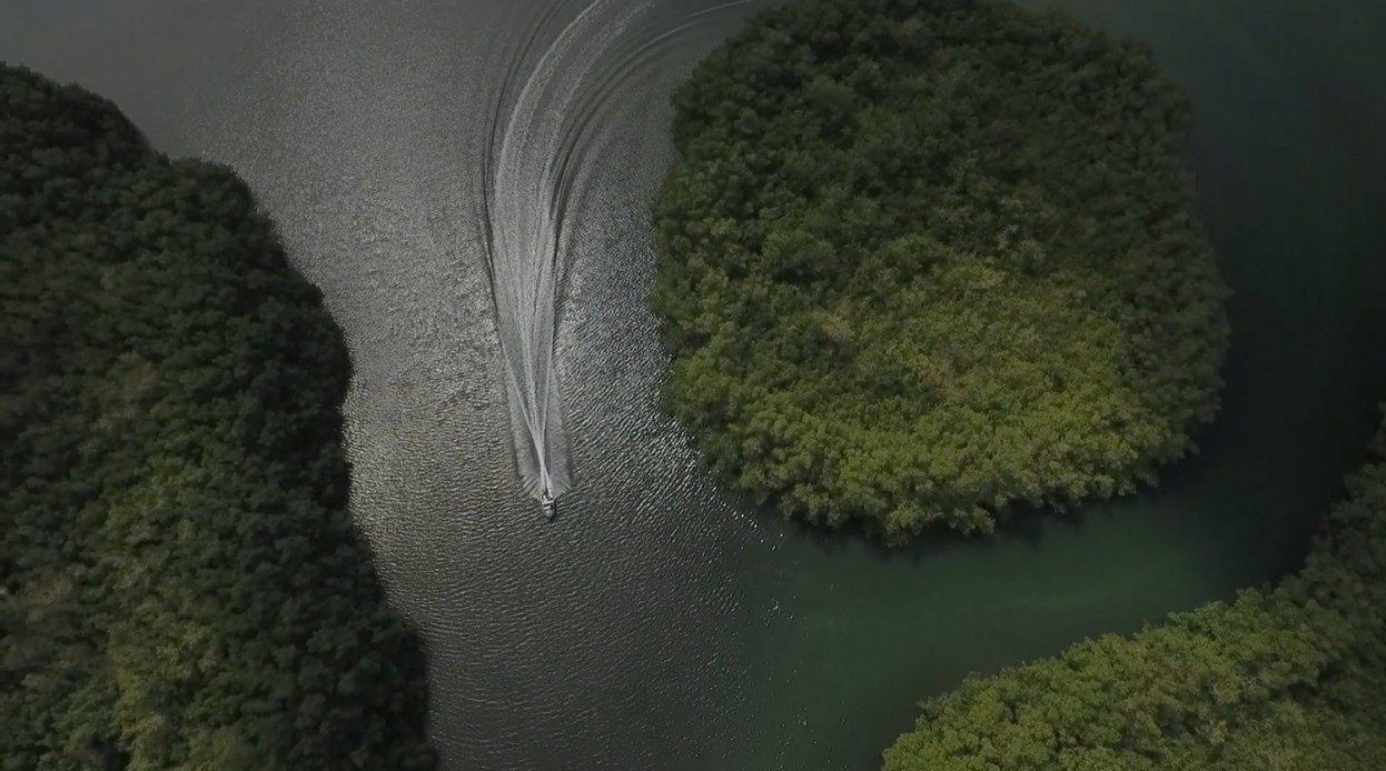 Video of the world's biggest bacteria species | Popular Science