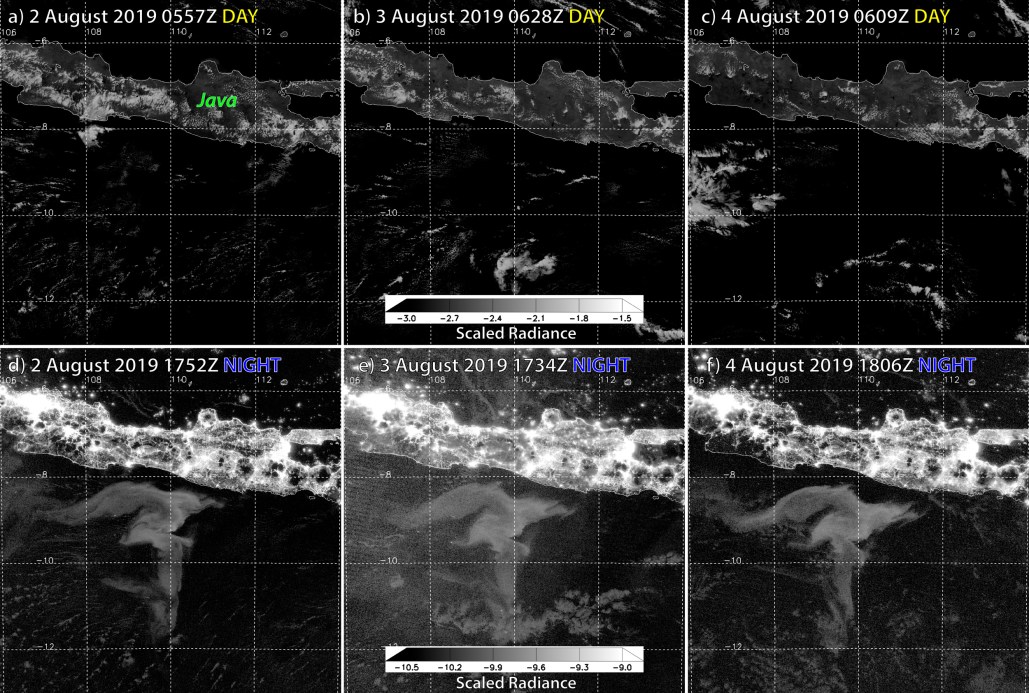 We finally know why sea pickles glow