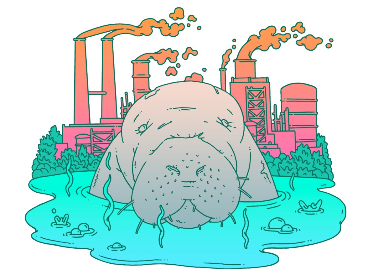 How these animals adapted to humanity to survive | Popular Science